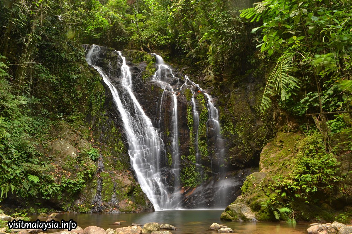 Tawau Hills Park, Sabah – A Lush Escape into Borneo’s Rainforest Wonderland | Tawau Hills Park ...