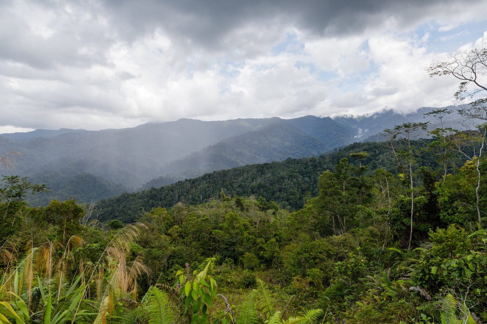 Crocker Range National Park, Sabah | Visit Malaysia 2026