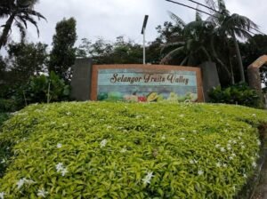 Family Fun at Selangor Fruits Valley: Nature, Fruits & Farm Adventures ...