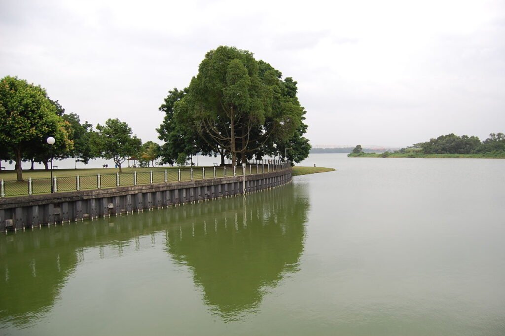 Kranji Reservoir Park: Scenic Fishing, Nature Views & History in One ...