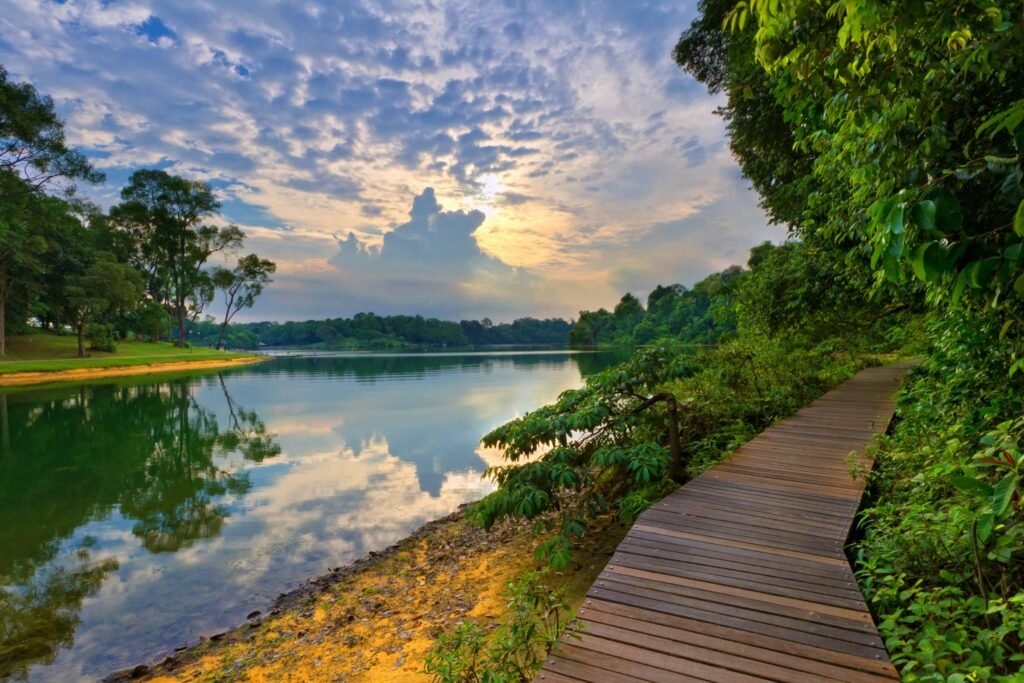 MacRitchie Reservoir Park | Visit Malaysia 2026