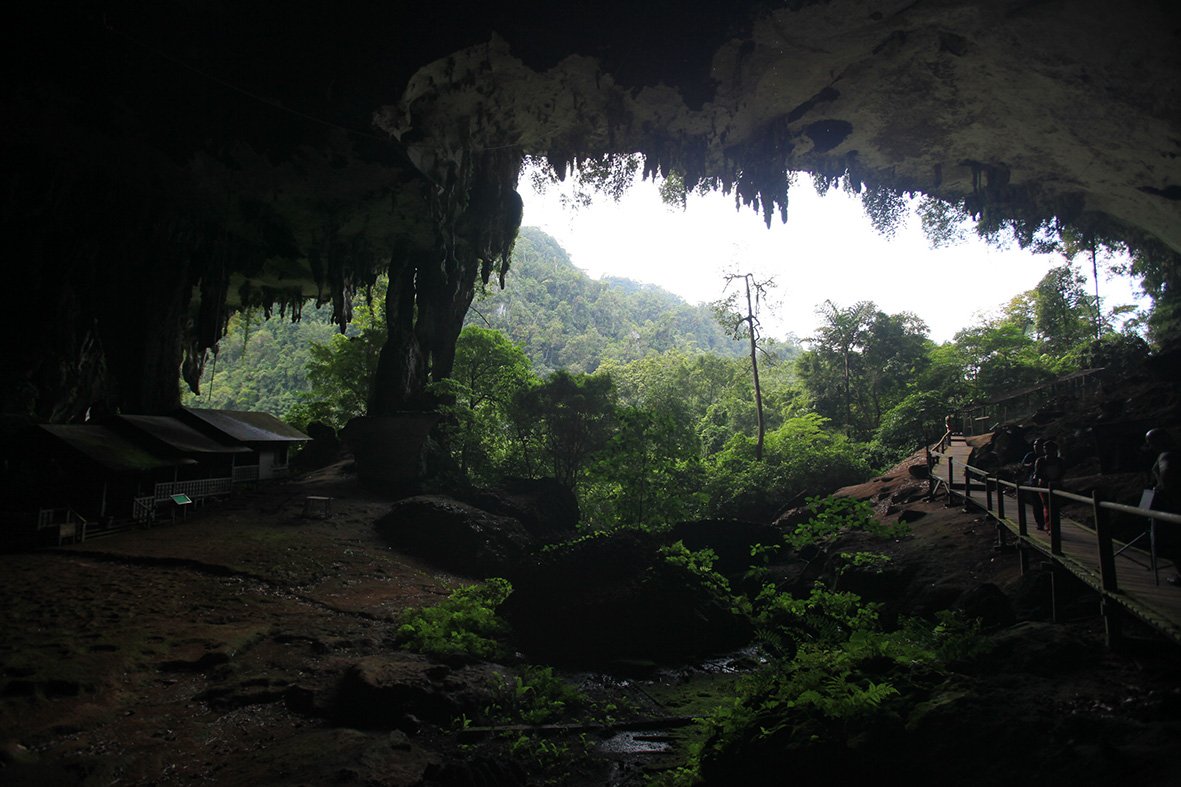 Niah National Park Sarawak: A Journey Through Time and Nature | Visit ...